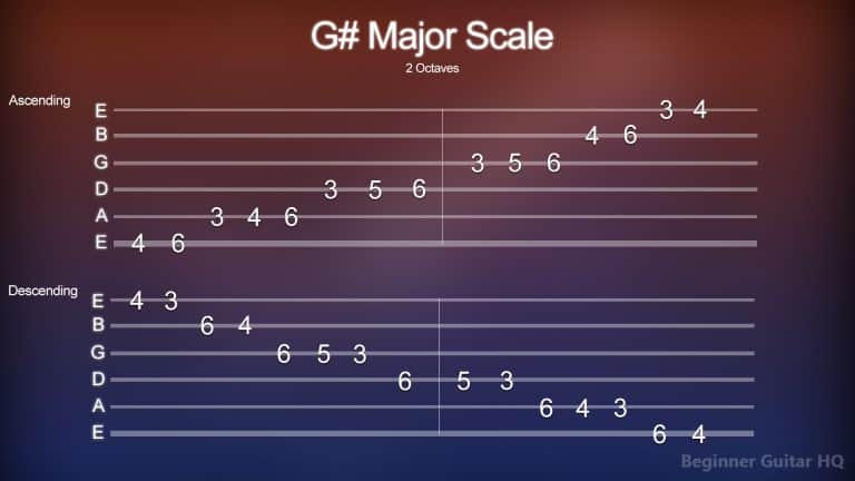 G# Guitar Chord - Finger Positions, How-to, Variations | Beginner Guitar HQ